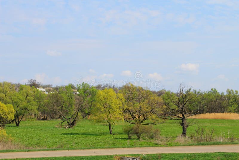 Rural spring landscape stock image. Image of rural, green - 69882985