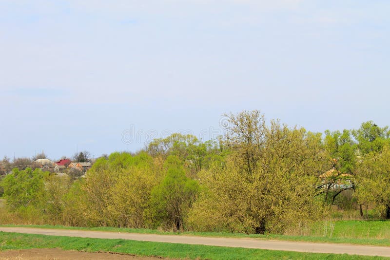 Rural spring landscape stock image. Image of natural - 69883299