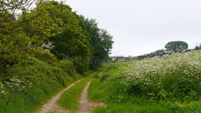 Rural Spring Scene in the Countryside of Devon South West England Stock ...
