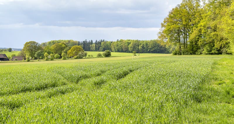 Rural springtime scenery stock photo. Image of rural - 94274266