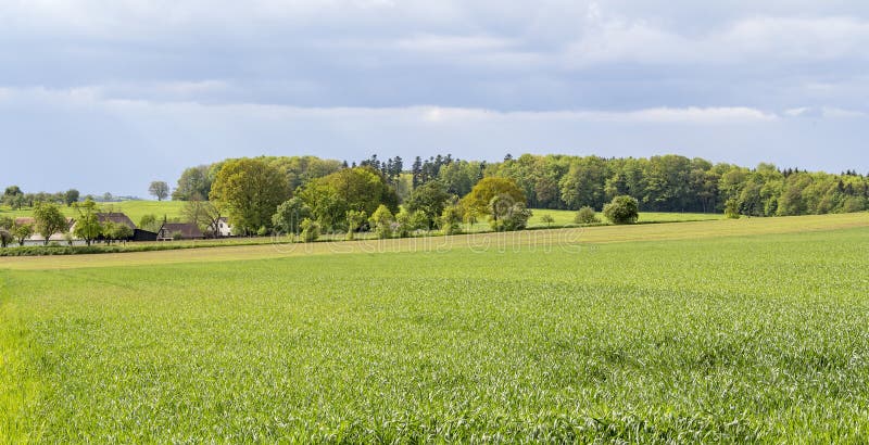 Rural springtime scenery stock photo. Image of hayfield - 94274324