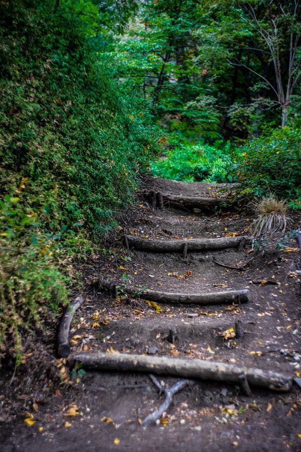 Rural stepway in the park stock image. Image of rural - 260634739