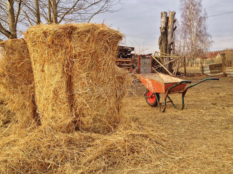 Rural still life stock image. Image of background, harvested - 51829593