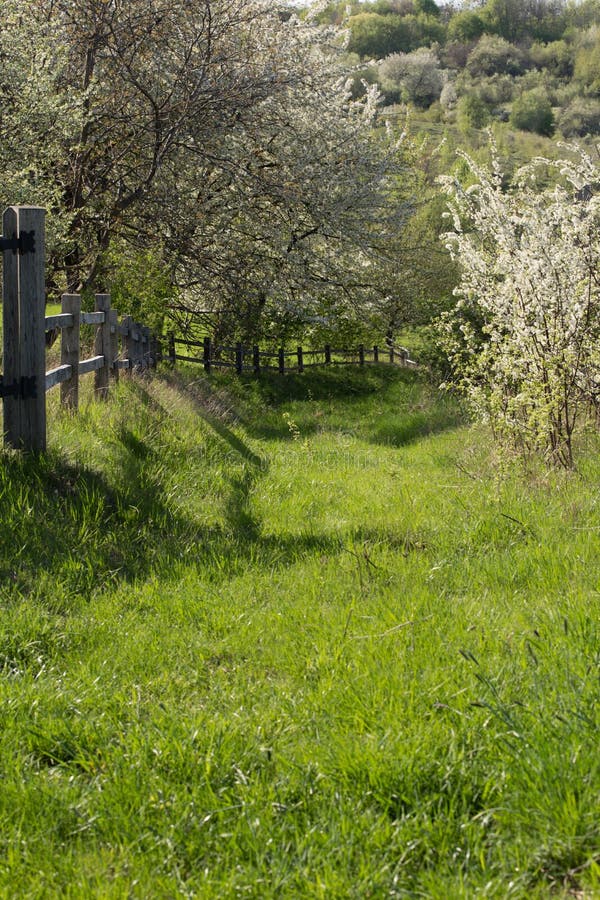 Rural street in spring stock photo. Image of outdoor - 116195606