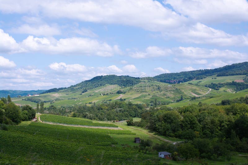 Summer Rural Landscape Picture. Image: 10054098