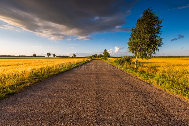 Rural Summer Landscape with Old Asphalt Road Stock Photo - Image of ...