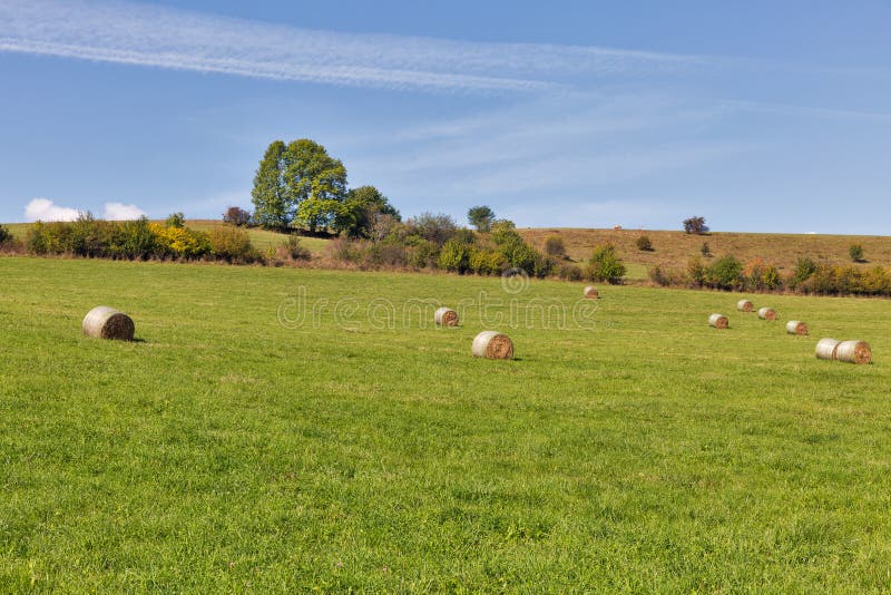 Rural Pasture Landscape with Haystacks Stock Image - Image of blue ...