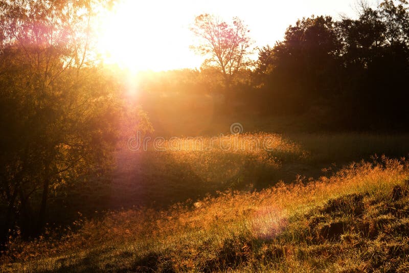 Golden Rural Sunrise Over Farm Pasture Stock Image - Image of hills ...