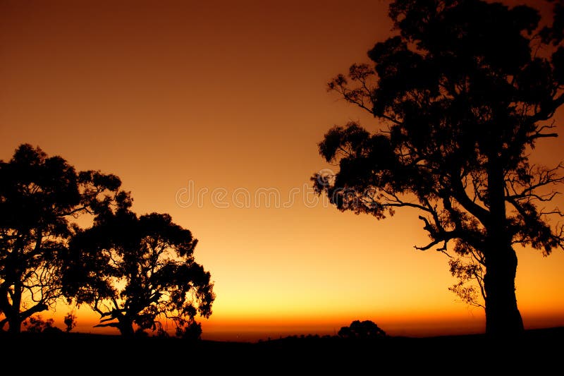 Stunning Sunset Sun Setting Behind Tree, Mountains Rural Australia ...