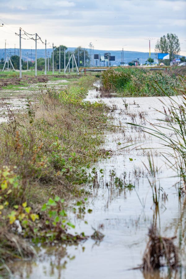 Rural Swampland with Sky and Reflection Stock Image - Image of light ...