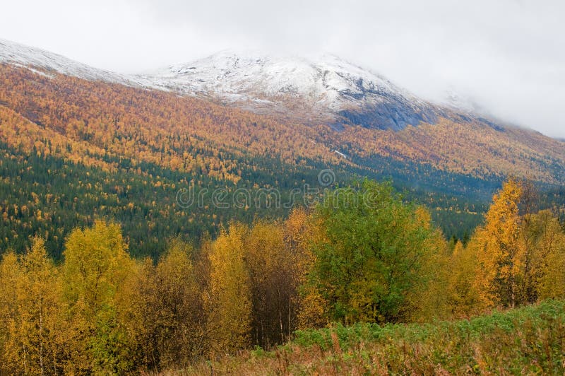 Rural sweden stock image. Image of scandinavia, beautiful - 11260757