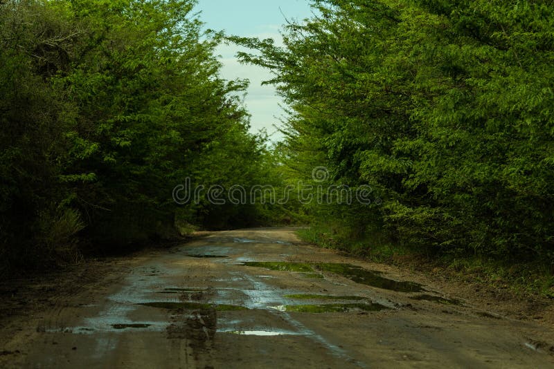 Rural trail stock photo. Image of nature, argentina, rural - 62416048