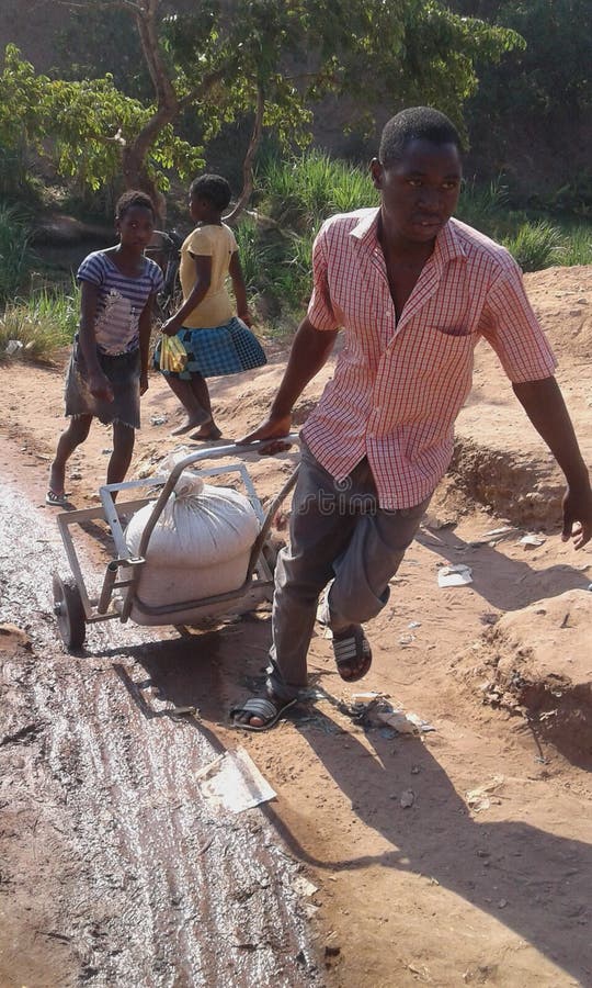 Rural Transport editorial photography. Image of transport - 80485472