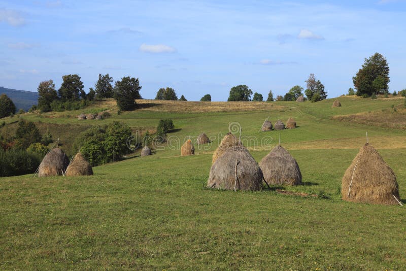 Rural Transylvanian Landscape Stock Photo - Image of nature, country ...
