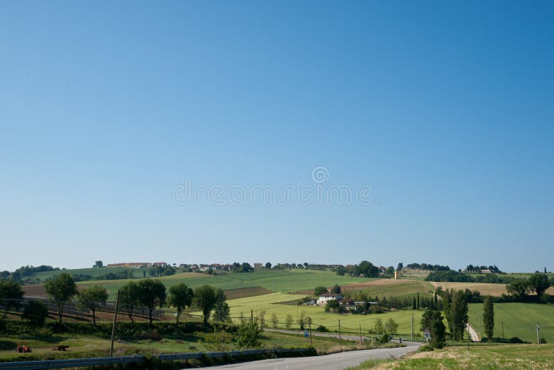 Rural Scene with Clumps Red Tussock and Fence at Top of Slope Stock ...