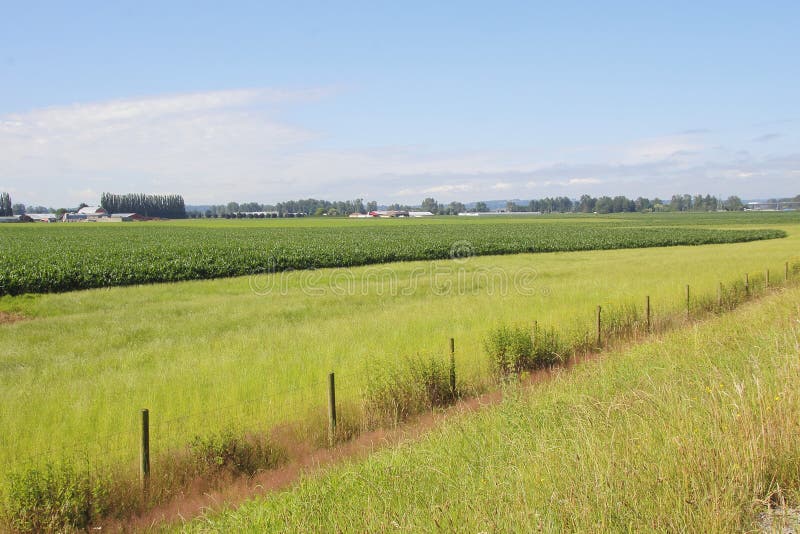 Rural Unpopulated Farm Landscape Stock Photo - Image of grass, mixed ...
