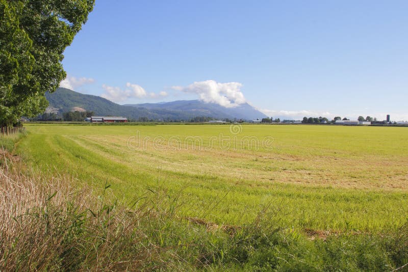 Rural Valley Landscape stock photo. Image of countryside - 71175256