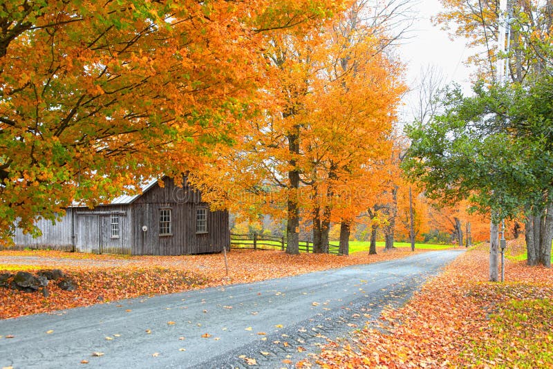 Rural Vermont Landscape in Autumn Time Stock Photo - Image of forest ...