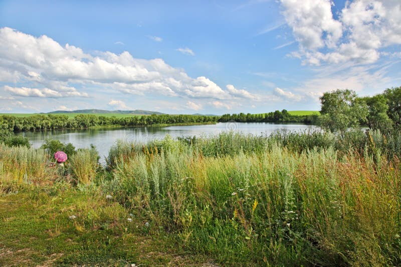 Colorful Lake View. Beautiful Lake View in Northern Ukraine - Polesia ...