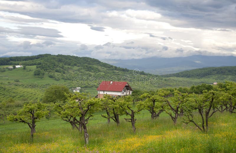 Rural View through Old Gateway Stock Photo - Image of fields, nature ...