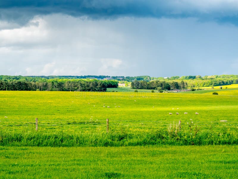 Rural view in England stock image. Image of wander, rural - 72862831