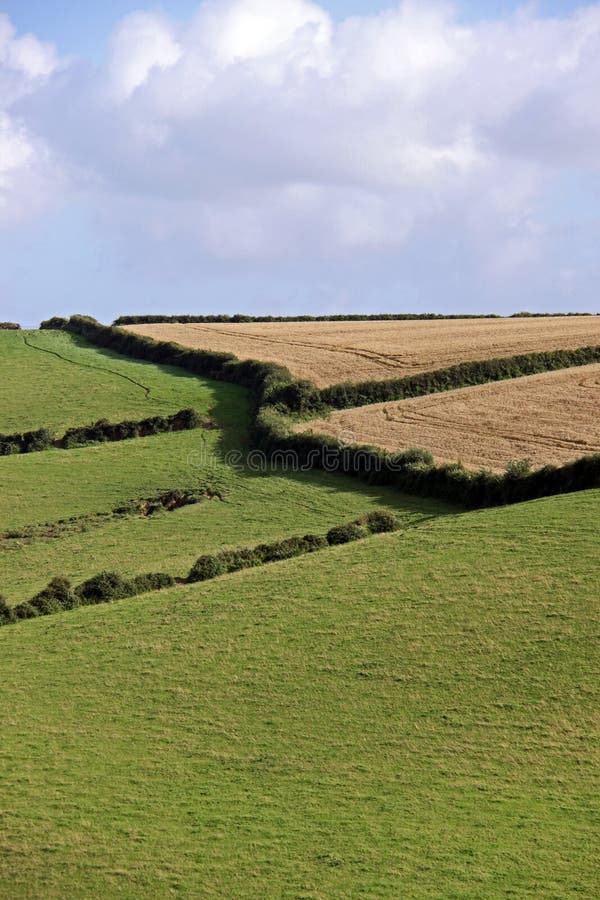 Rural View of Green Farm Land and Sky Stock Photo - Image of seed ...