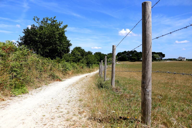 Rural walking track stock image. Image of rural, summer - 96471911