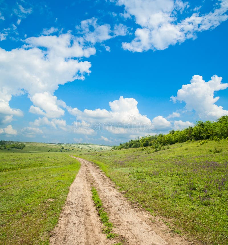 Rural way to horizon stock image. Image of meadow, agriculture - 16294495