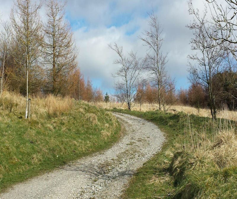 Rural Winding Path stock image. Image of rural, trees - 100499855