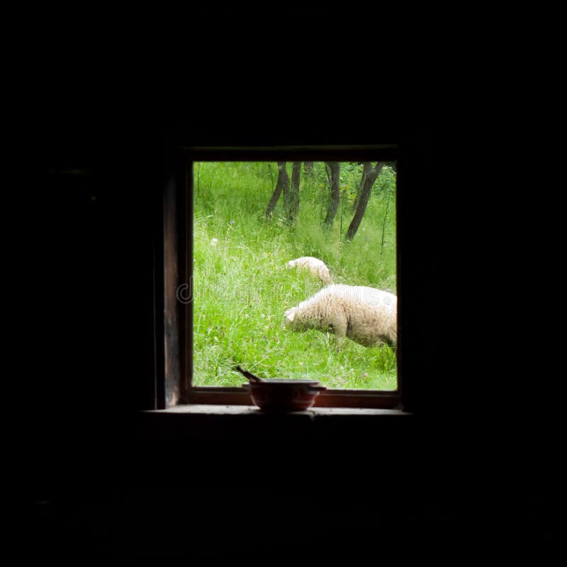 Rural window view stock photo. Image of agriculture, outside - 25982168