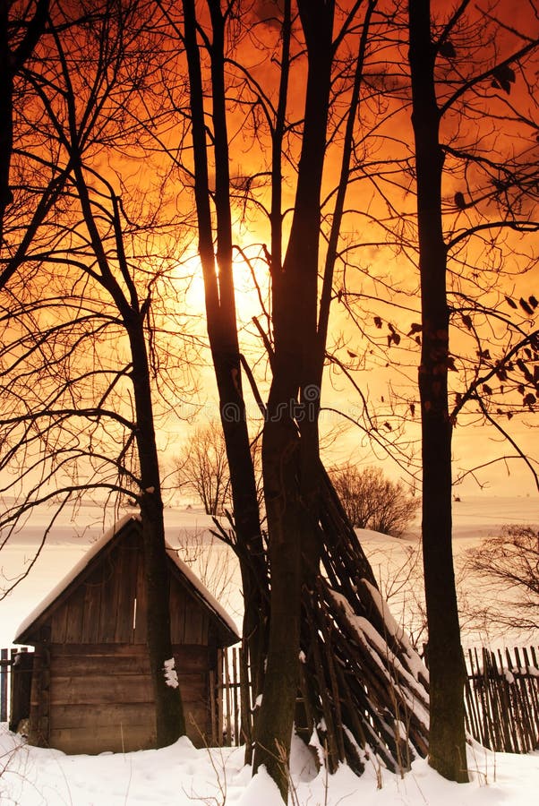 Rural winter landscape stock photo. Image of trees, sundown - 12964136