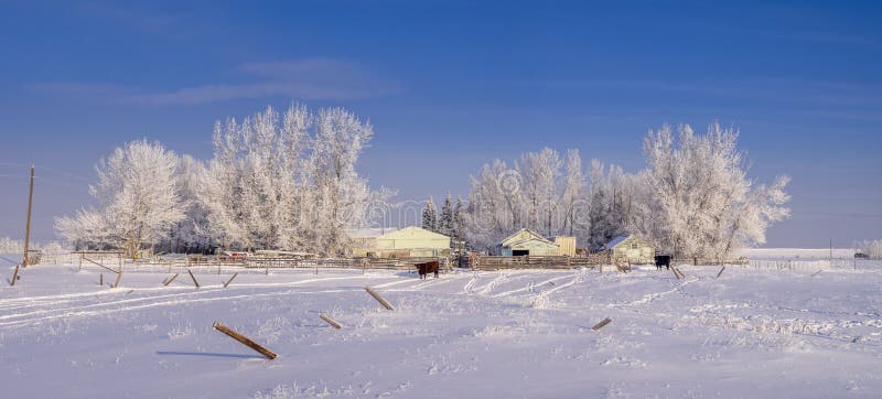 Rural winter landscape stock image. Image of alberta - 83756751