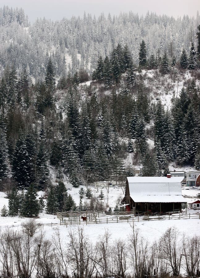 Rural winter scene. stock photo. Image of season, barn - 1713450