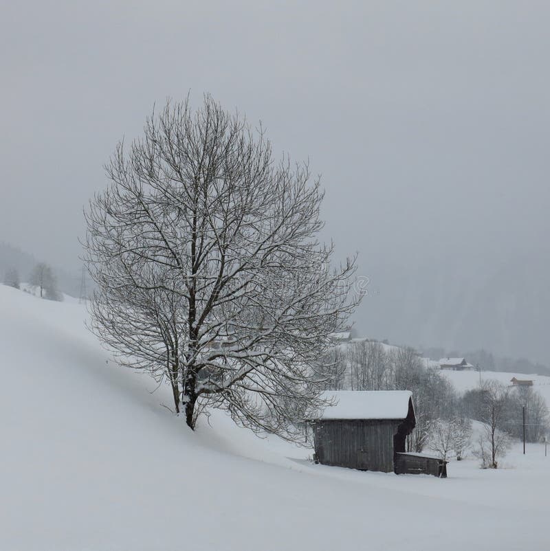 Winter Scene on a Country Road in Rural Iowa Stock Photo - Image of ...