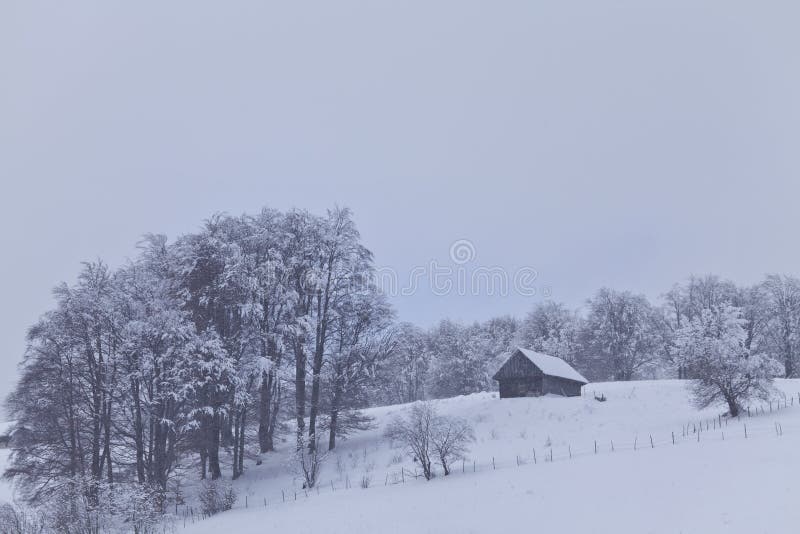 Rural winter scenery stock image. Image of remote, nature - 12843979