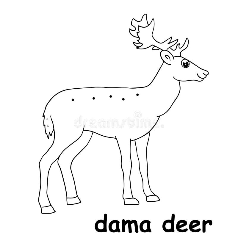 Kids Line Illustration Coloring Animal. Outline Vector for Children ...