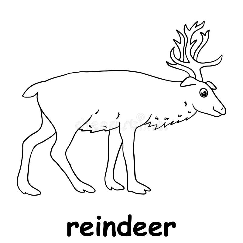 Kids Line Illustration Coloring Reindeer. Outline Vector for Children ...