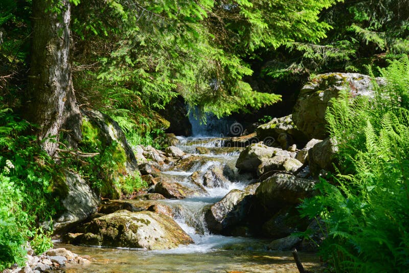 Ruscello Alpino stock photo. Image of acqua, ruscello - 45108104