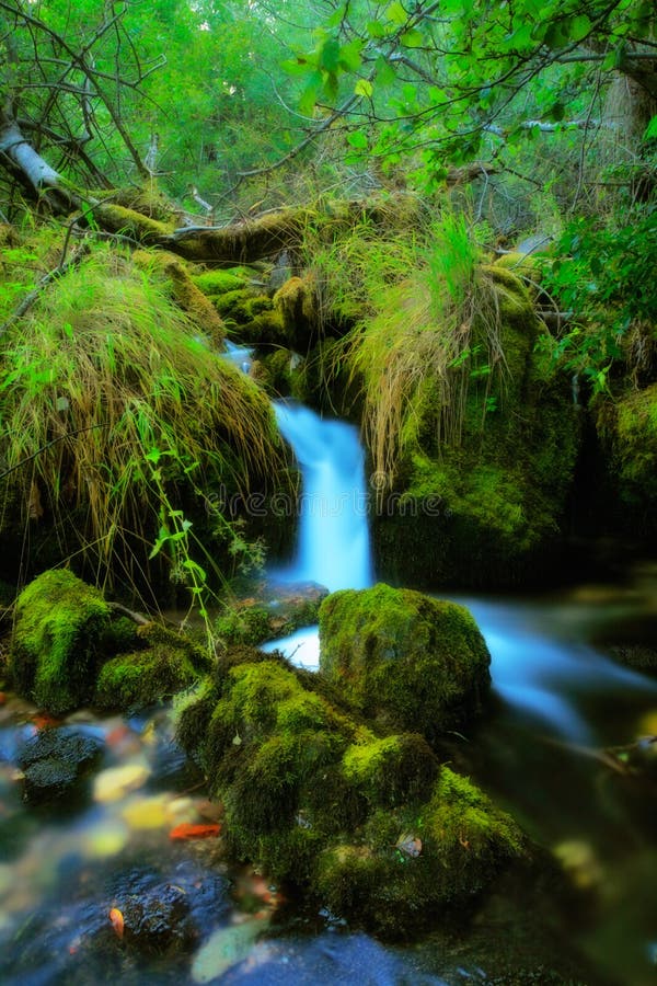 Ruscello Nel Villaggio Di Vevcani Fotografia Stock - Immagine di ...