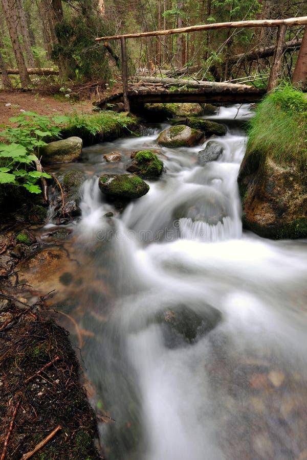 Ruscello nella foresta fotografia stock. Immagine di europeo - 28503772