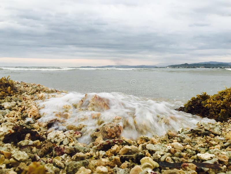 Rush stock photo. Image of rush, beach, moment, chilling - 88079784