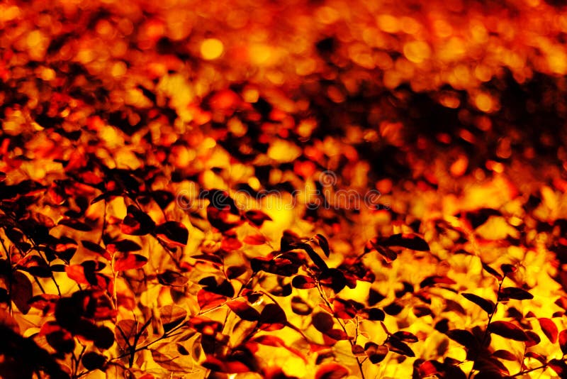 Rush of Red stock photo. Image of creation, exploding - 27547722