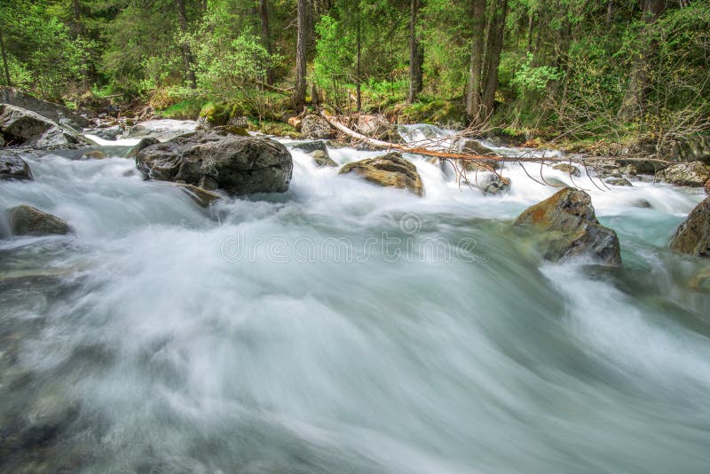 Rushing mountain river stock photo. Image of alpine, forest - 86244696