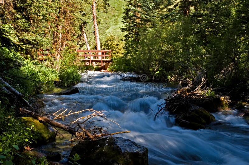 Rushing Mountain Stream stock photo. Image of mountain - 1114420