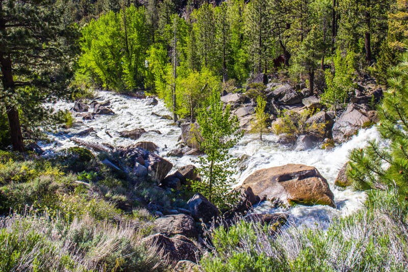 Rushing Rapids in Mountain Stream from Snow Melt Stock Image - Image of ...