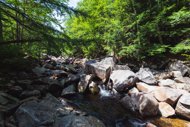 Rushing Rapids in the White Mountains Stock Image - Image of forest ...