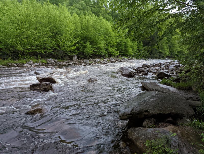 Rushing Red Creek stock photo. Image of stream, watercourse - 253218166
