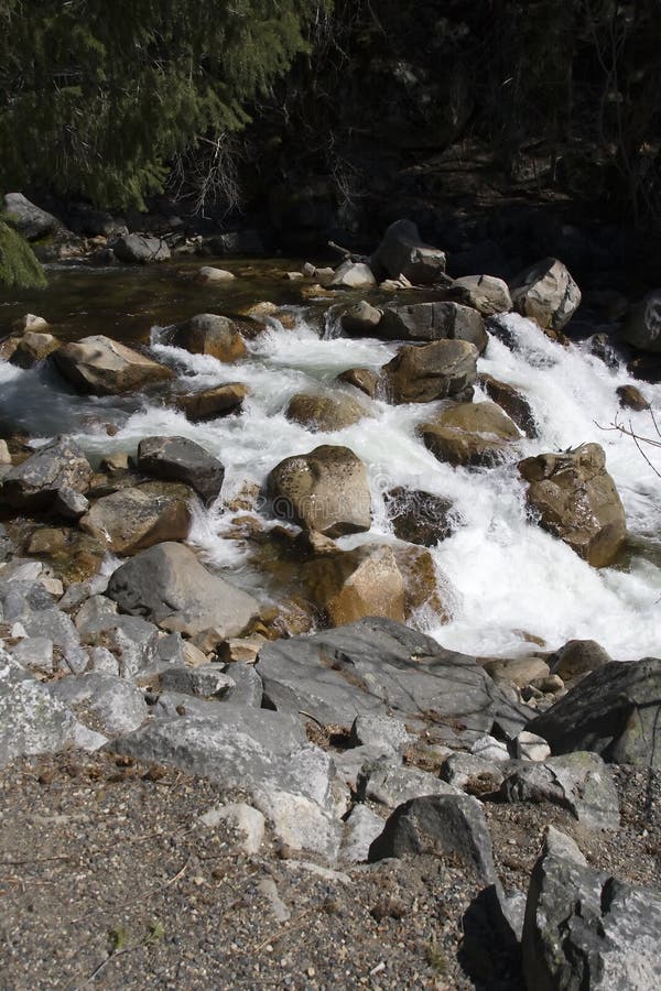 Rushing River stock image. Image of beauty, tree, background - 10892725