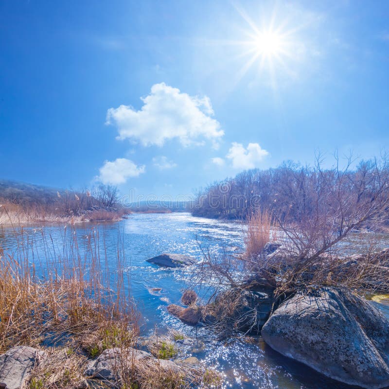 Rushing river scene stock photo. Image of scene, reed - 45763760