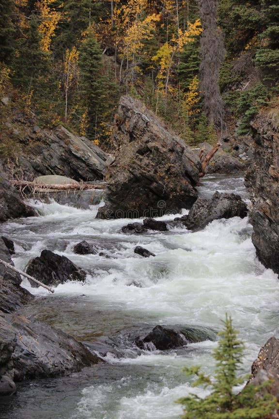 RUSHING ROCKY RIVER in FALL Stock Photo - Image of forrest, flowing ...